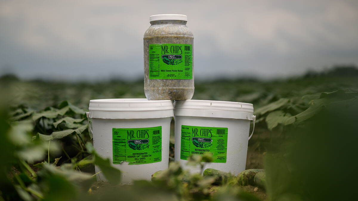 Our Brands - Mr. Chips